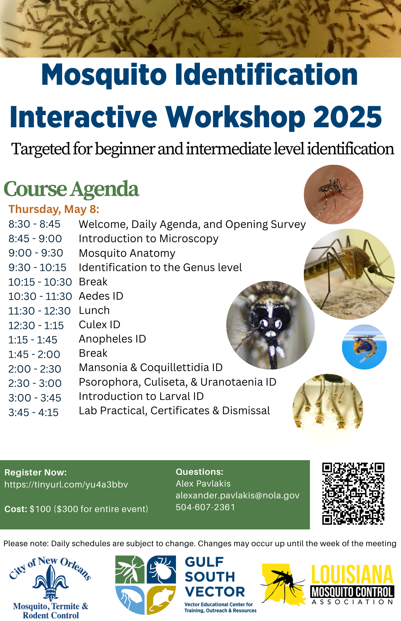 Mosquito Academy & Interactive Identification 2025 - Vector Outreach